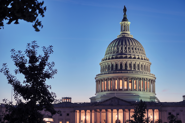 Federal Government IT Solutions From Squadra Solutions