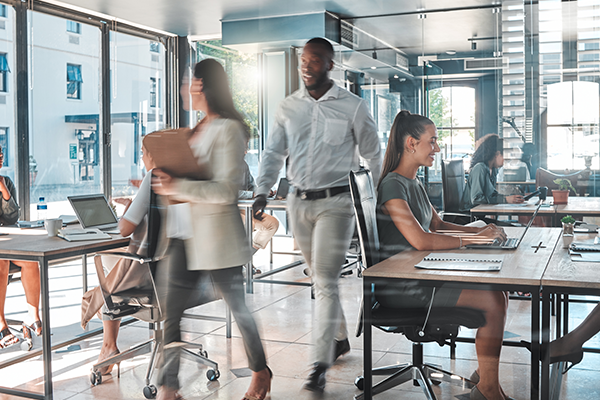 Medium and Large Enterprise IT Solutions From Squadra Solutions